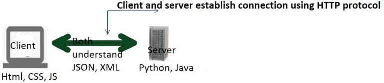 API Basics and Architecture - Rahul Shetty Academy Blog